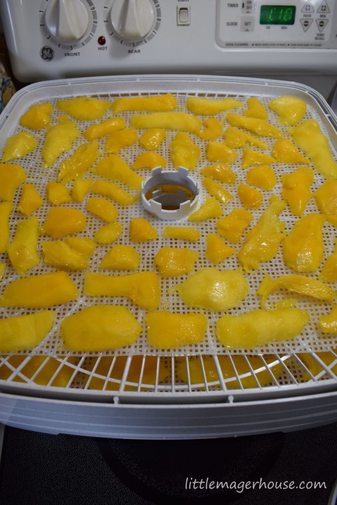 How To Make Dried Mangoes In A Dehydrator - Little Mager House
