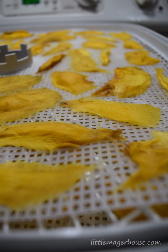How To Make Dried Mangoes In A Dehydrator - Little Mager House