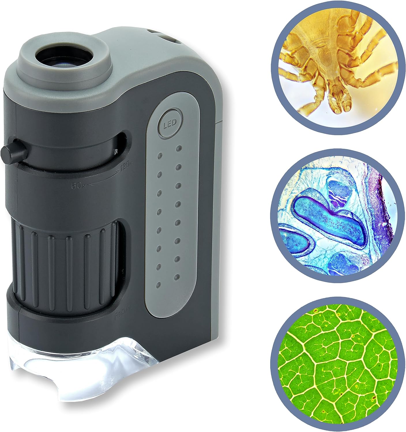 25 Nature Gifts for the Outdoorsy Kid - Little Mager House