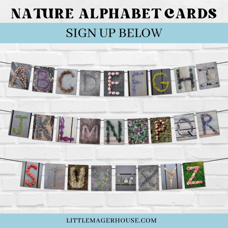Nature-Themed Free Printable ABC Flashcards - Little Mager House